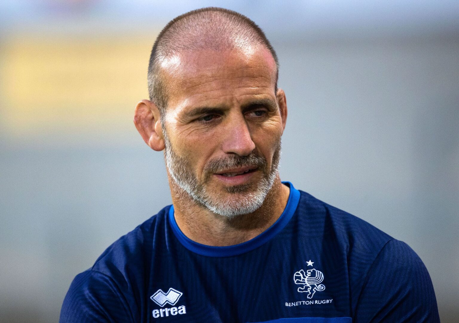 Rugby - Pro12, Treviso nettamente battuto. Gli Scarlets vincono 43-0